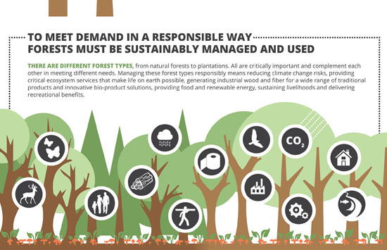 Infographic: Forests, markets and demand - #Thinklandscape