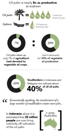 Development miracle or environmental disaster? A look behind the oil ...