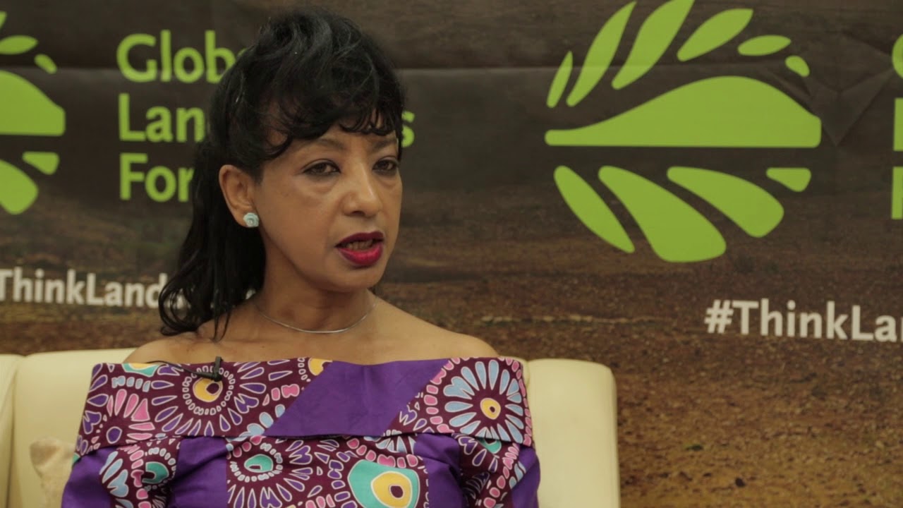 Interview with Meseret Zemedkun - #Thinklandscape