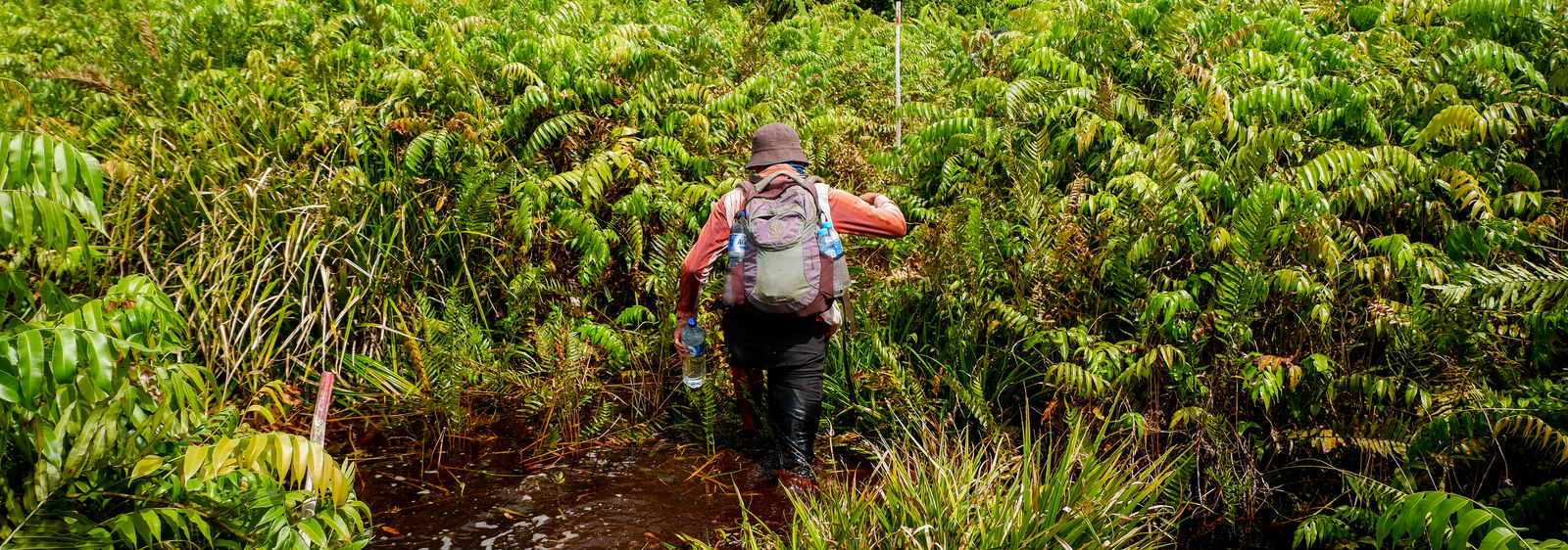 Climate change expert reflects on stark environmental warning from ...