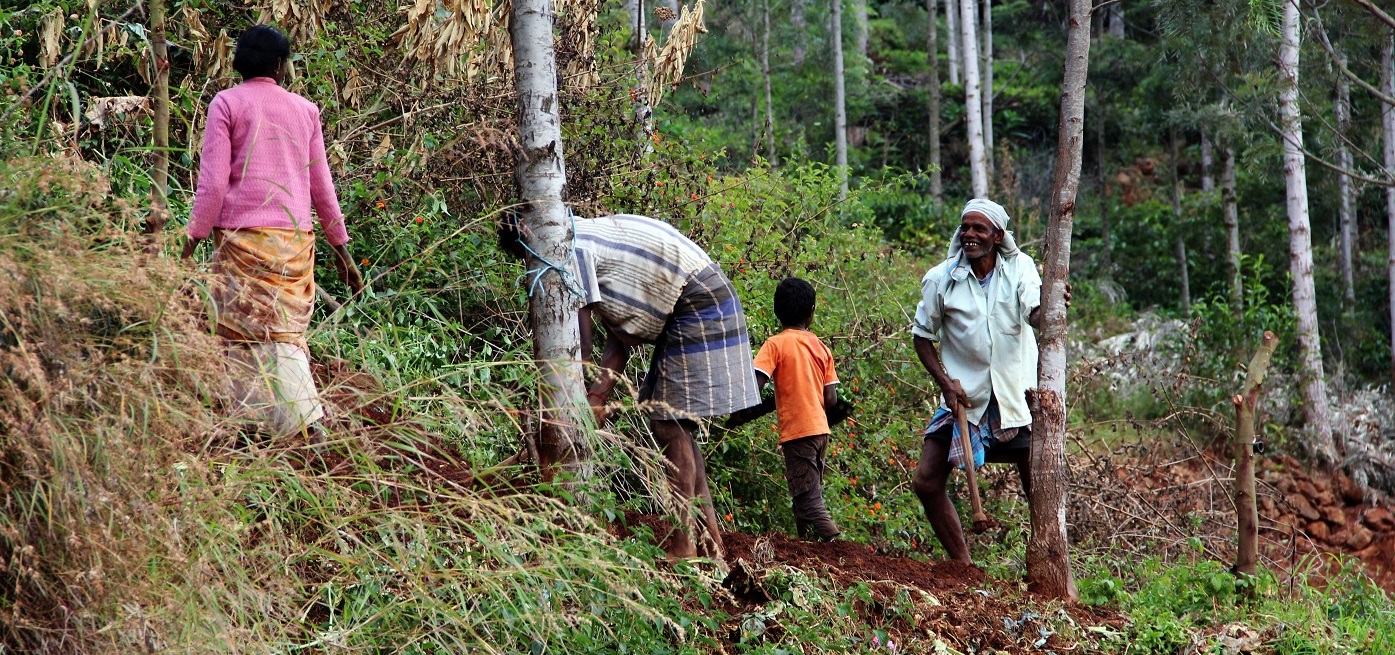 Consultation key to overcoming the enormous challenges of restoring degraded land - #Thinklandscape