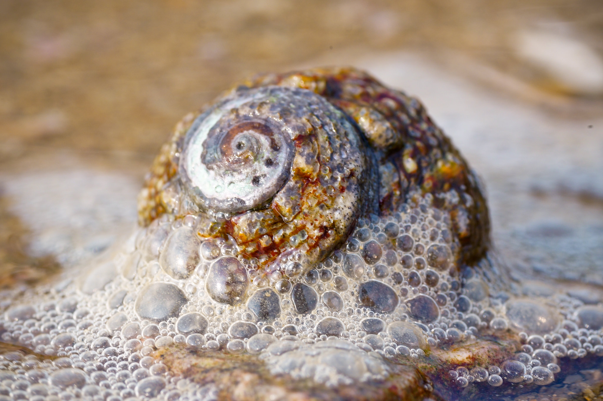 Fractals: the natural patterns of almost all things