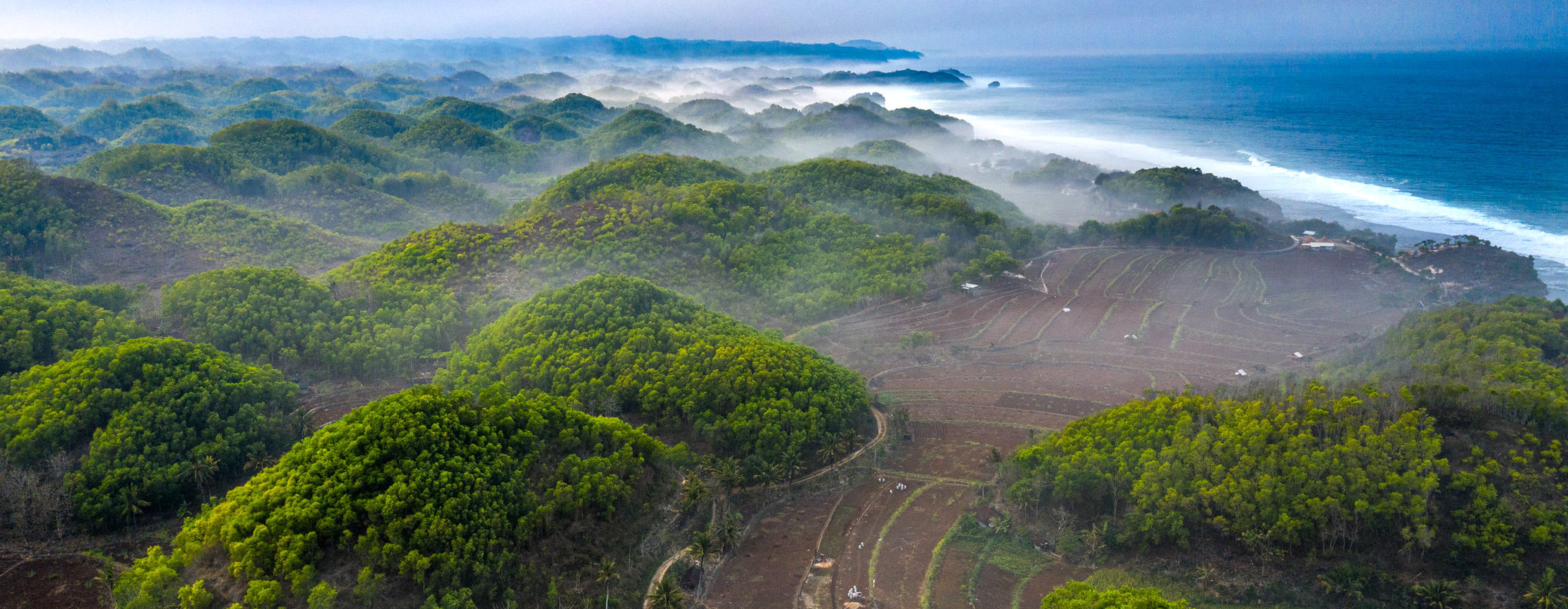 The future beyond COVID-19 requires rebuilding planetary health