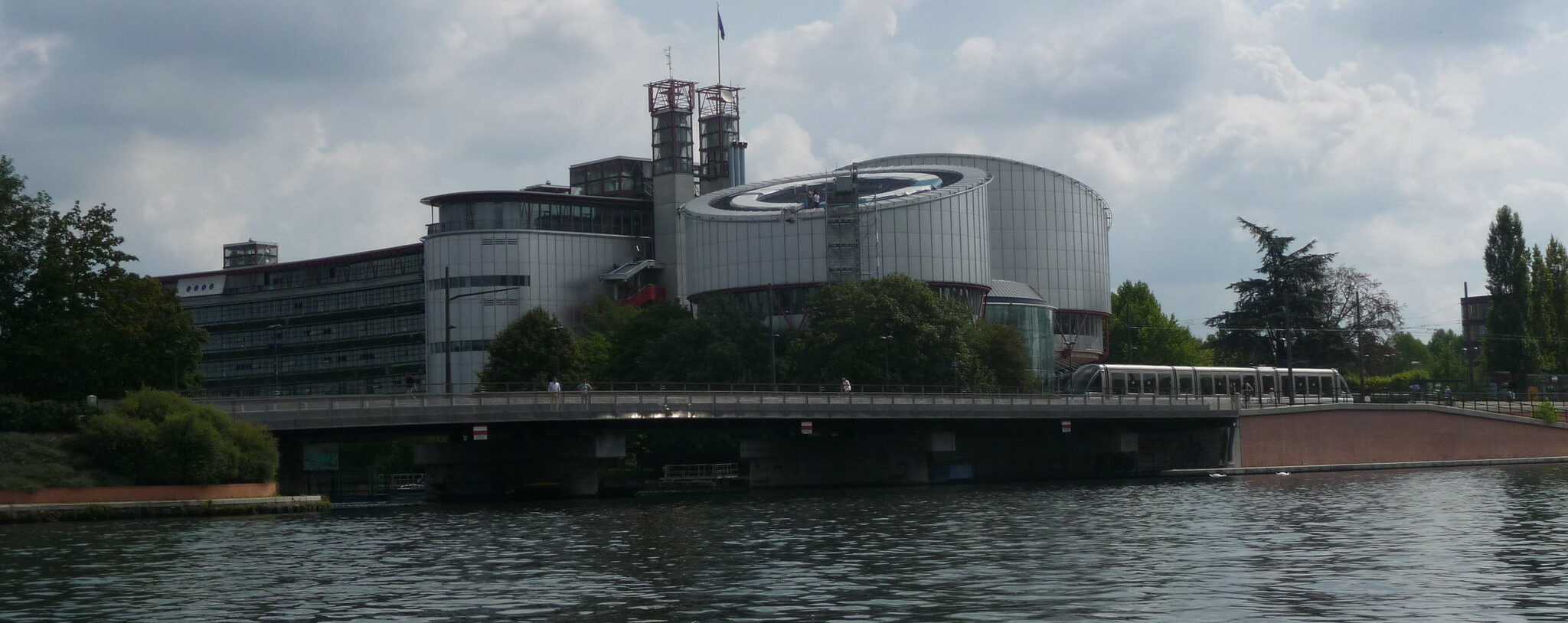 Lab-grown chicken, climate childlessness and mink rising from the dead