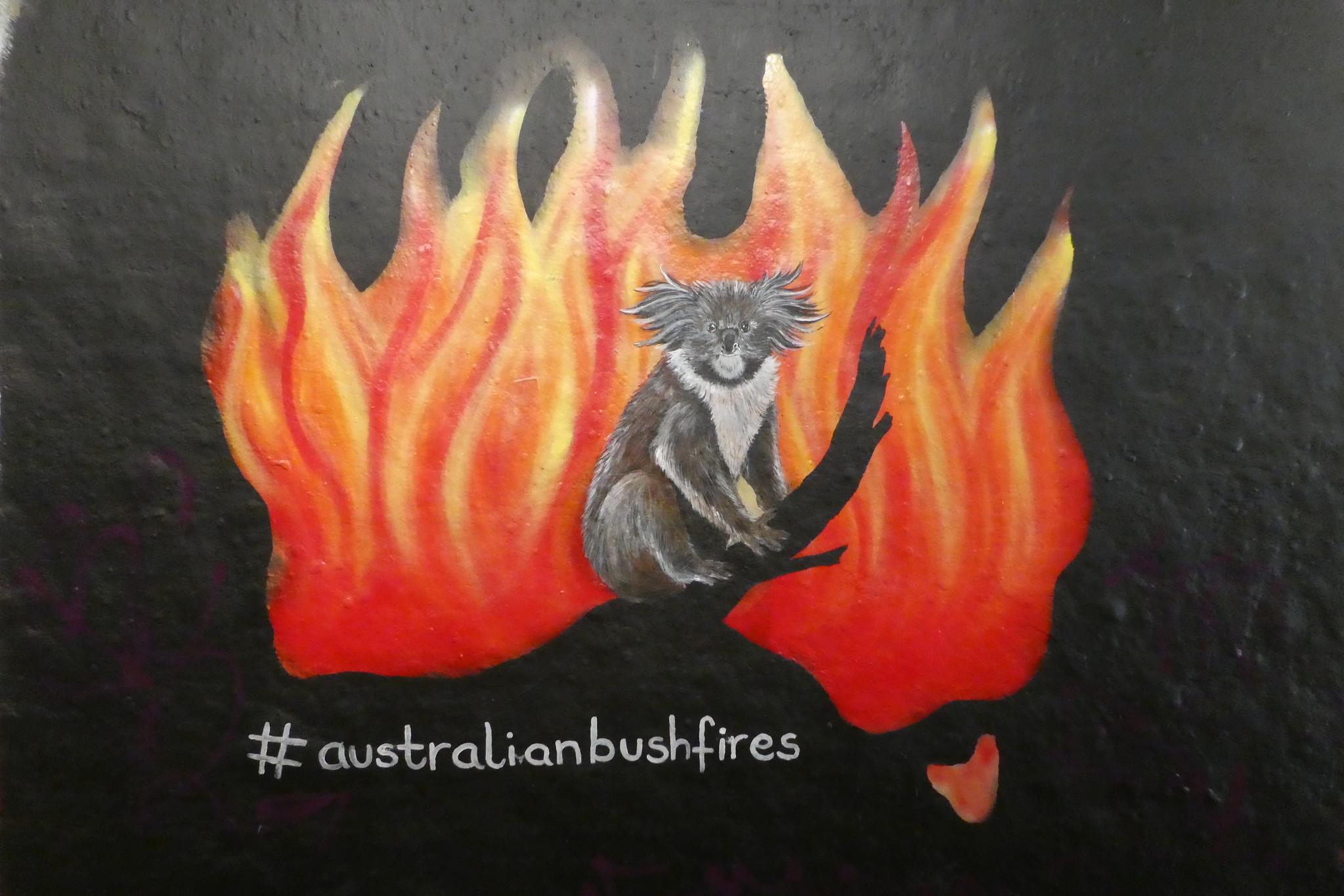 Biopiracy, no-snow November and furniture from face masks