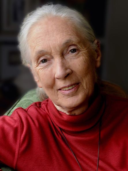 Jane Goodall - #Thinklandscape