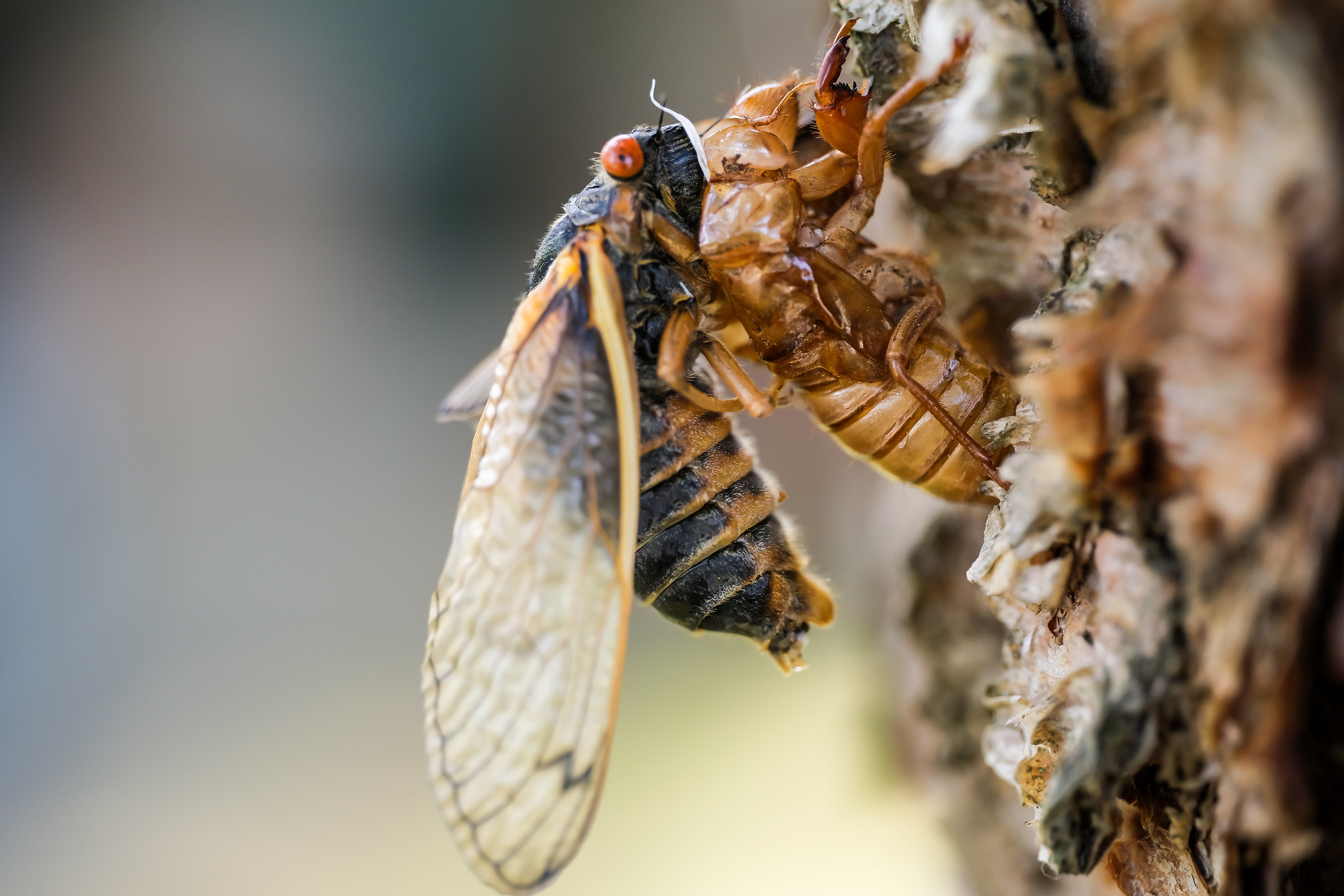 The riskiest cities, 5 reasons to limit global warming, and African drylands