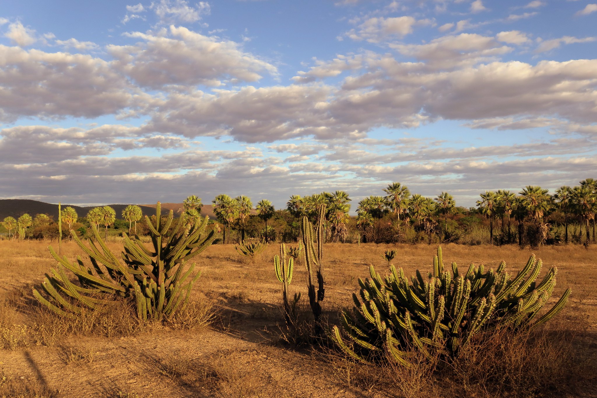 The climate truth of the Olympics, remote working woes, and NYC’s ...