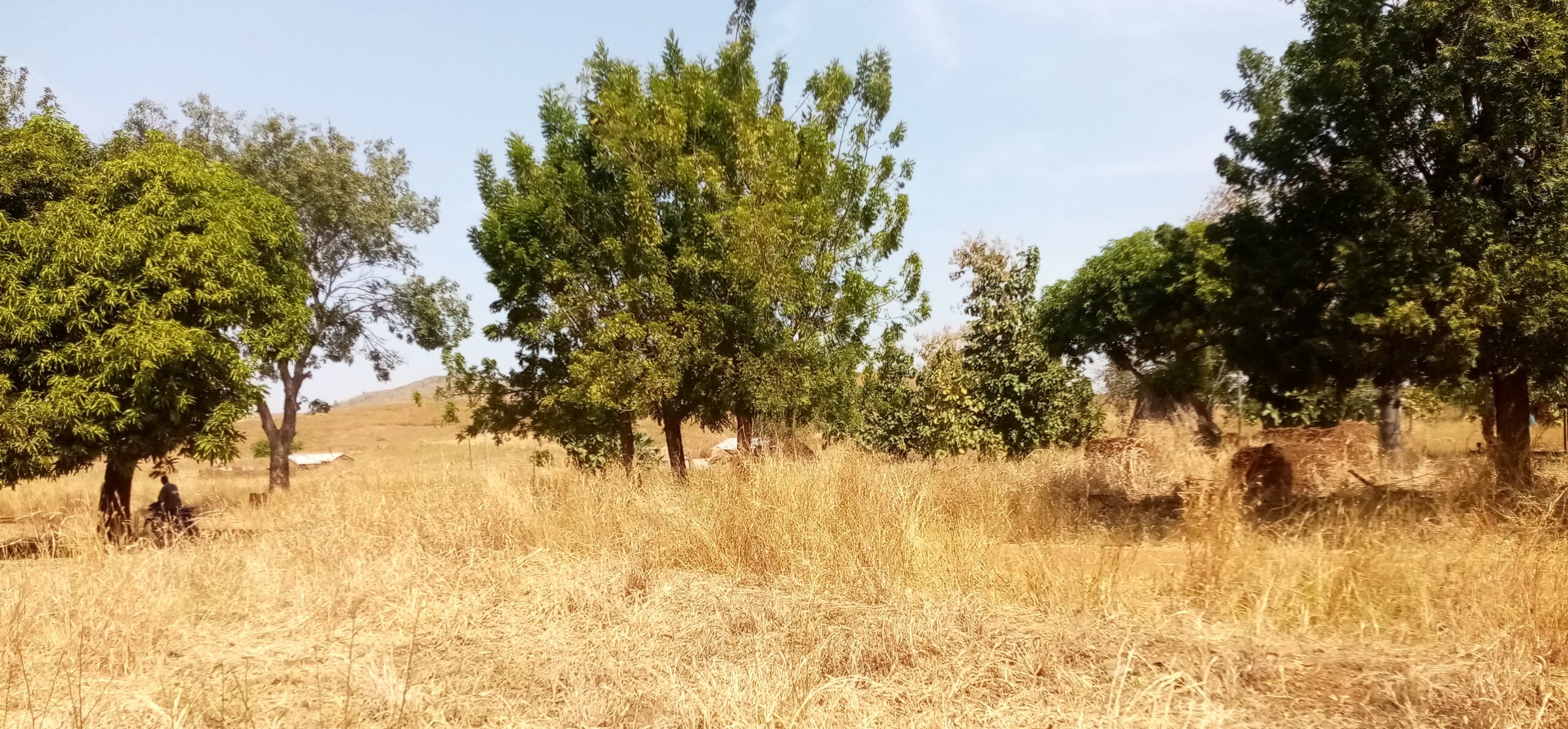 In Bawku, land donation from Ghanaian chief leaves a legacy for the future