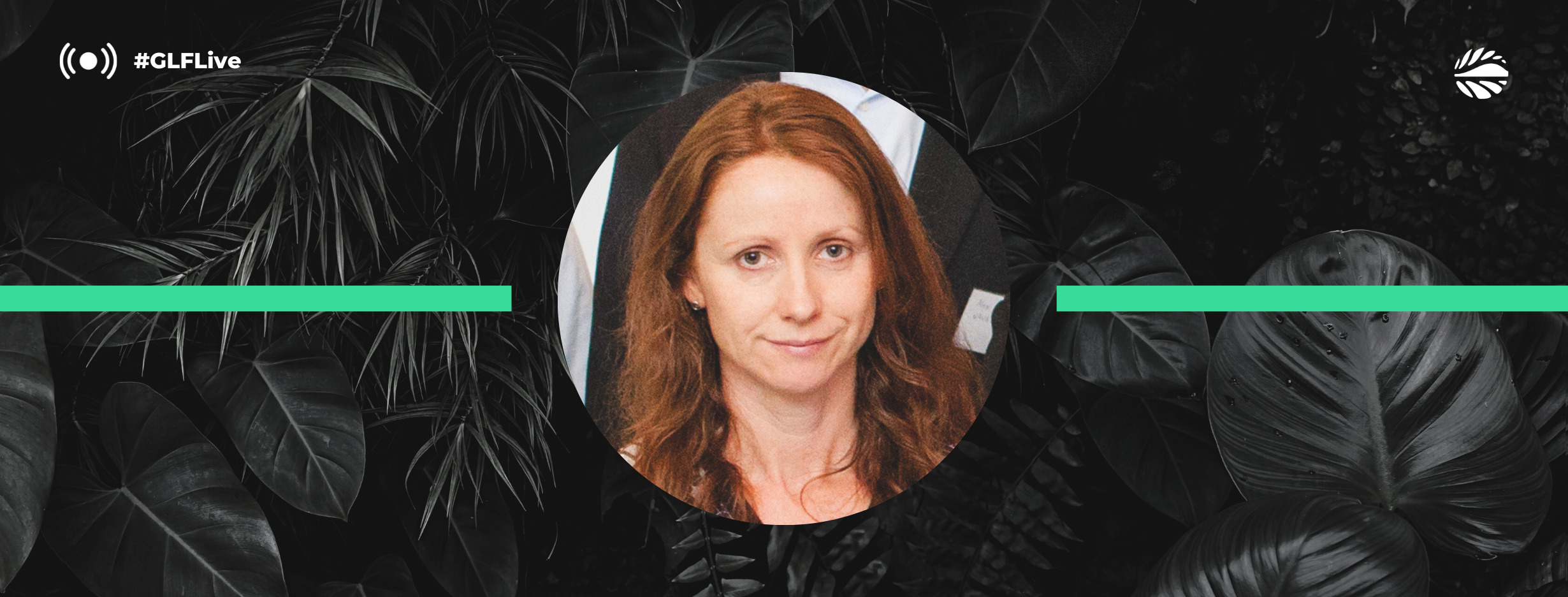 What does net zero mean?