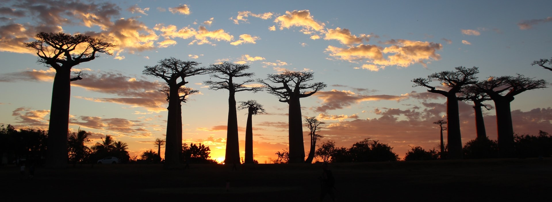 Madagascar is open for investment in people and nature - #ThinkLandscape